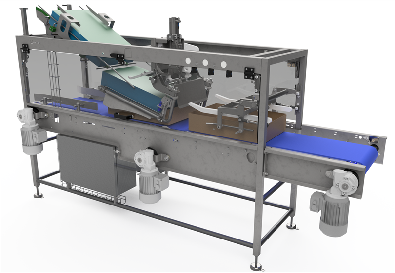 AQU lid applicator - Packing systems for fish processing