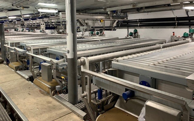 Fish grader, weighing and batching - Sustainable aquaculture processing