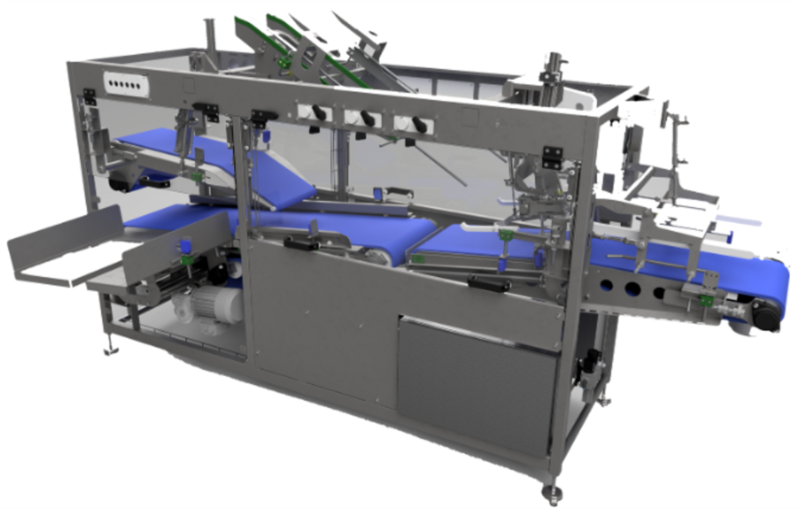 Fish packing carton handling solutions - Sustainable aquaculture processing