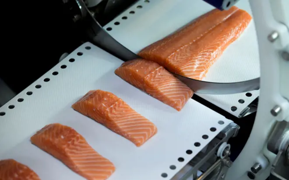 Portioning of fish - Sustainable aquaculture processing