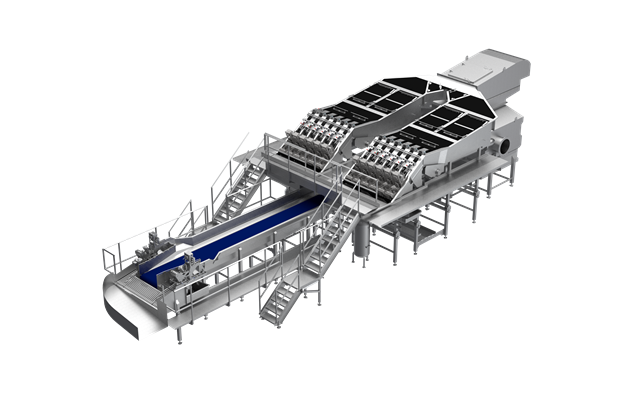 Stun and bleed - fish stunner and fish handling systems